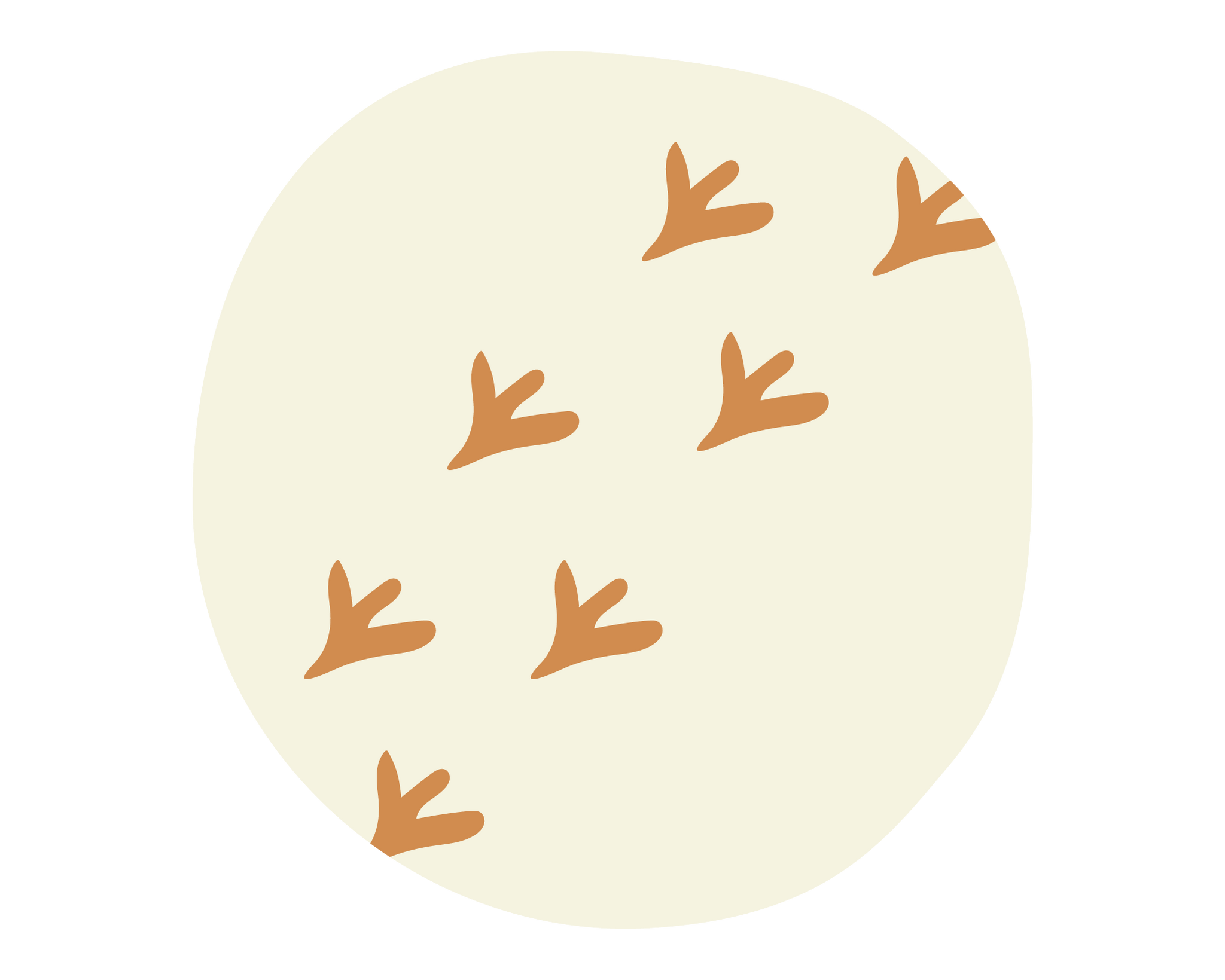 Aussie Printed Scrubs – Scrub Turkey