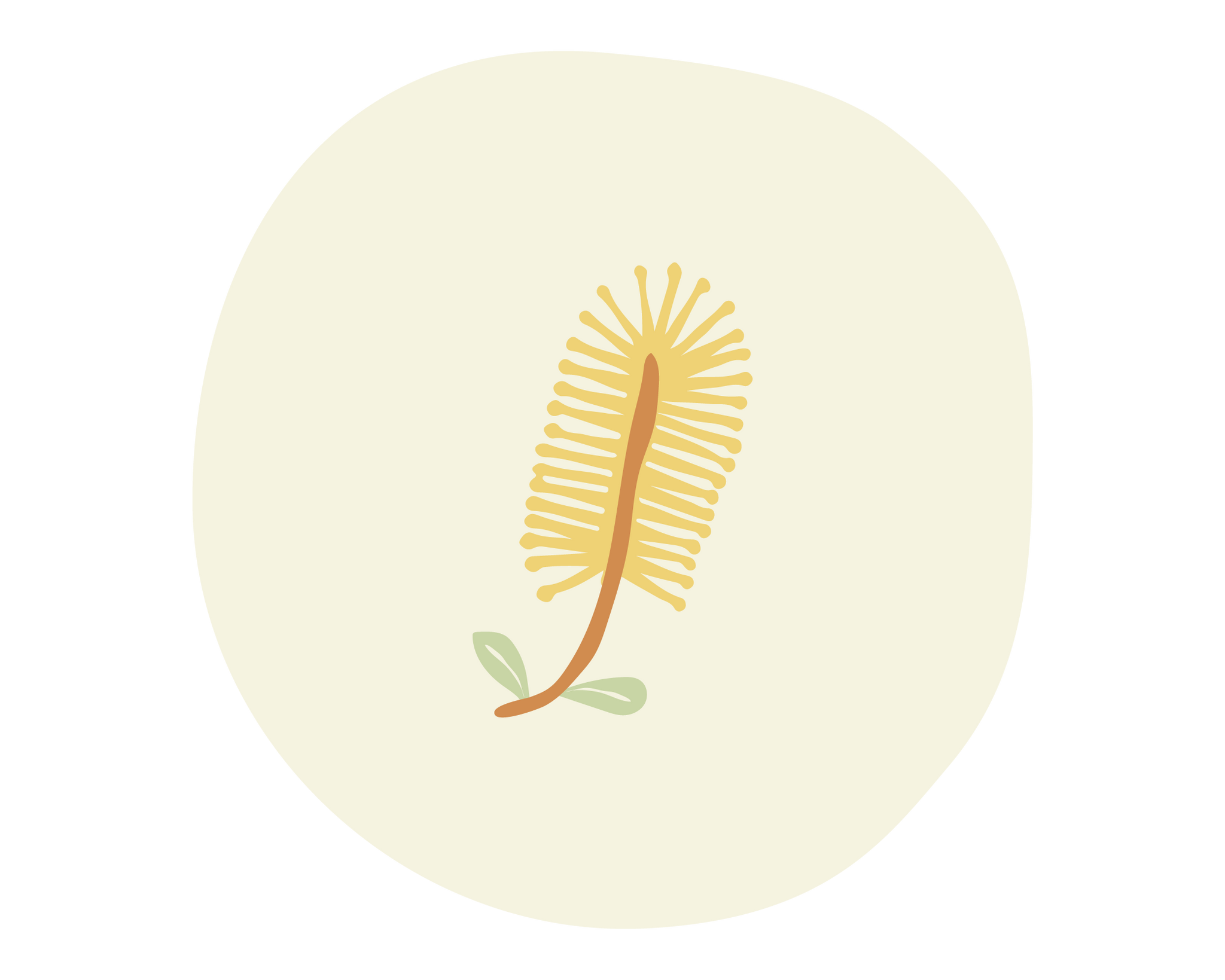 Aussie Printed Scrubs – Scrub Turkey